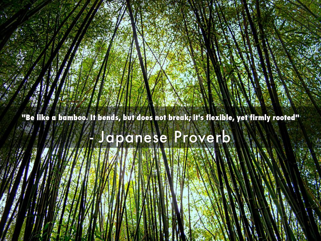BAMBOO LEADERSHIP – The missing link between knowing and doing - One ...